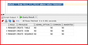Creating Roles in Oracle with Examples - Dot Net Tutorials