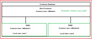 Common Users and Common Privileges in Oracle
