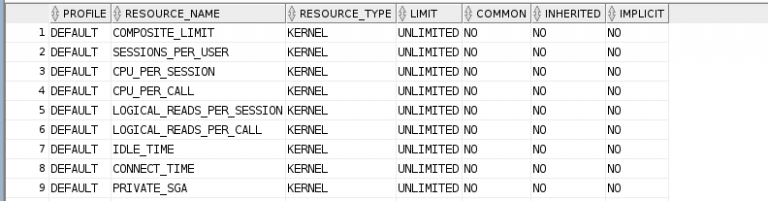 Creation of Common Profile in Oracle - Dot Net Tutorials