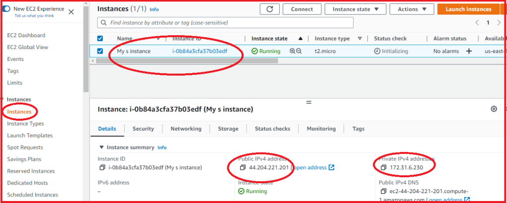 Create an EC2 Instance with EC2 User Data to Have a Website