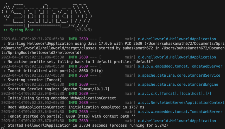 Spring Boot First Web Application - Dot Net Tutorials