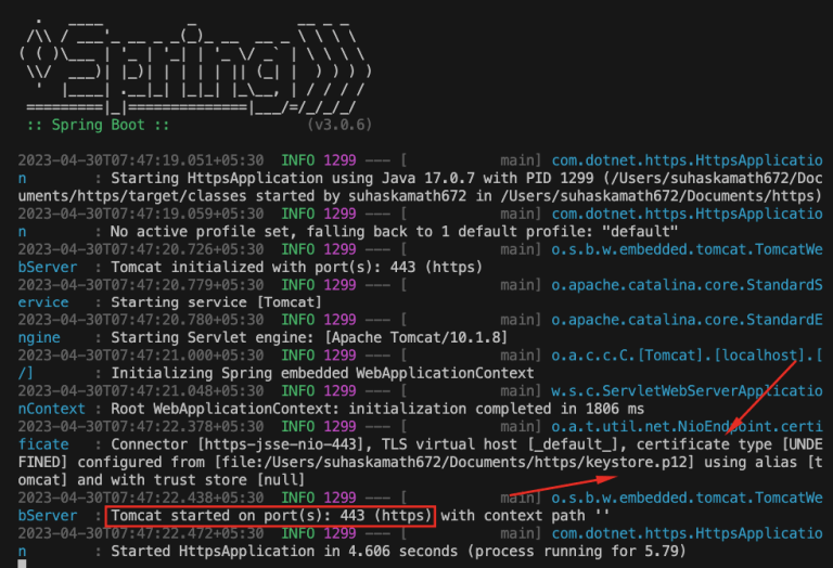 Spring Boot HTTPS - Dot Net Tutorials