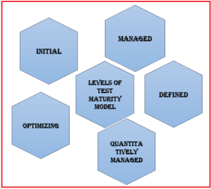 Test Maturity Model (TMM) - Dot Net Tutorials