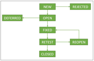 Bug in Software Testing - Dot Net Tutorials