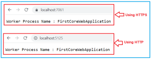 Kestrel Web Server in ASP.NET Core Application - Dot Net Tutorials