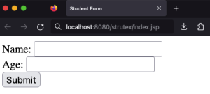 Struts 2 Validation with Examples - Dot Net Tutorials