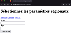 Struts 2 Localization with Examples - Dot Net Tutorials