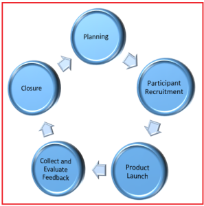 Beta Software Testing - Dot Net Tutorials