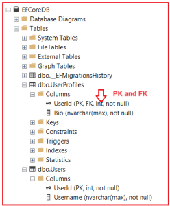 One-to-One Relationships in Entity Framework Core - Dot Net Tutorials