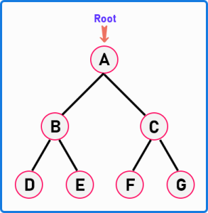Introduction to Tree Data Structure - Dot Net Tutorials