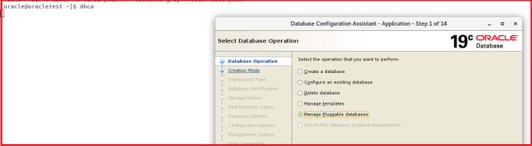 Creating a New Pluggable Database in Oracle - Dot Net Tutorials