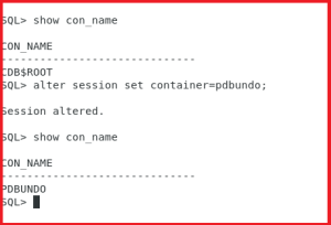 Creating a New Pluggable Database in Oracle - Dot Net Tutorials