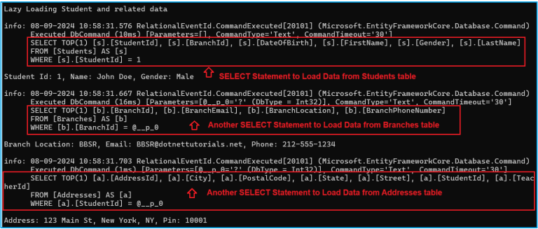 Lazy Loading In Entity Framework Core Dot Net Tutorials 5139