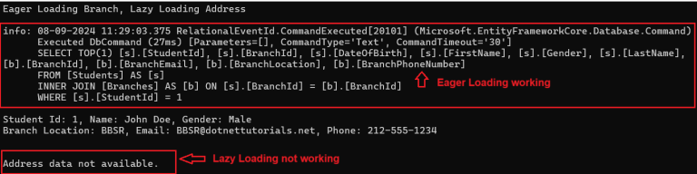 Lazy Loading In Entity Framework Core Dot Net Tutorials
