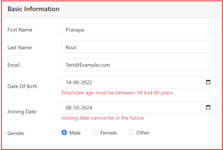 Custom Data Annotation In Aspnet Core Mvc Dot Net Tutorials 0650