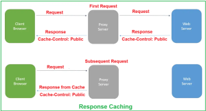 Response Caching in ASP.NET Core Web API - Dot Net Tutorials