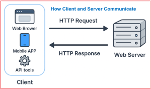 HyperText Transport Protocol (HTTP) - Dot Net Tutorials