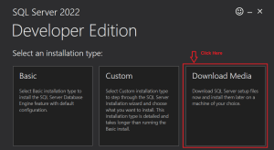 Download and Install SQL Server 2022 - Dot Net Tutorials