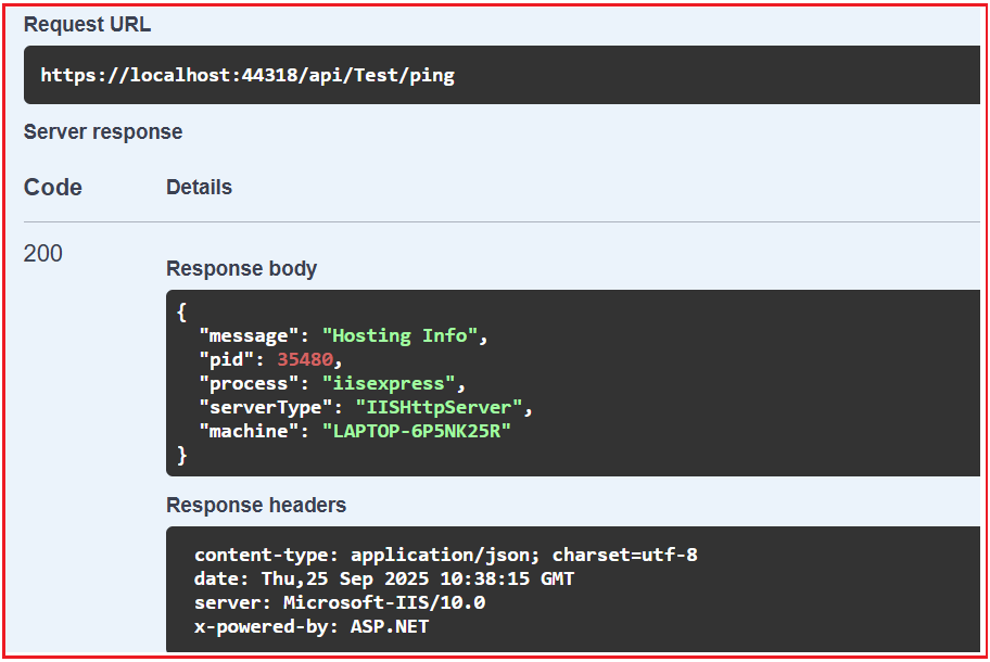 ASP.NET Core In-Process Hosting Model - Dot Net Tutorials