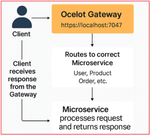 Ocelot API Gateway in ASP.NET Core Web API - Dot Net Tutorials
